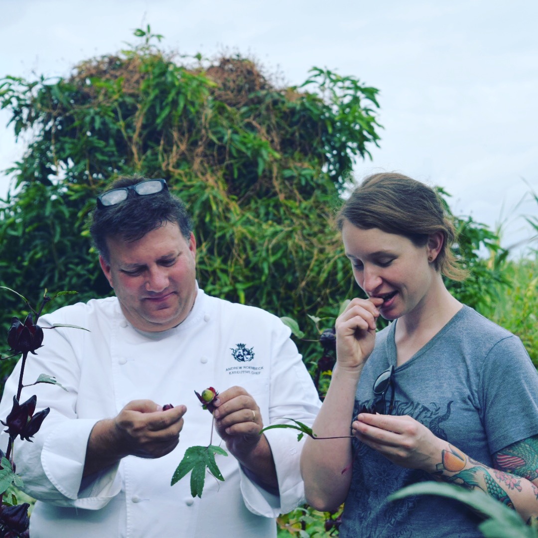 Boca Raton Resort & Club welcomes the Taste of Waldorf Astoria ...